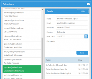 Master-Details Pattern for web applications with Webix UI JS Library